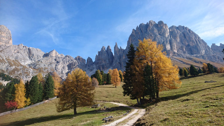 Neue Tour: Haniger Schwaige - rollin' alps
